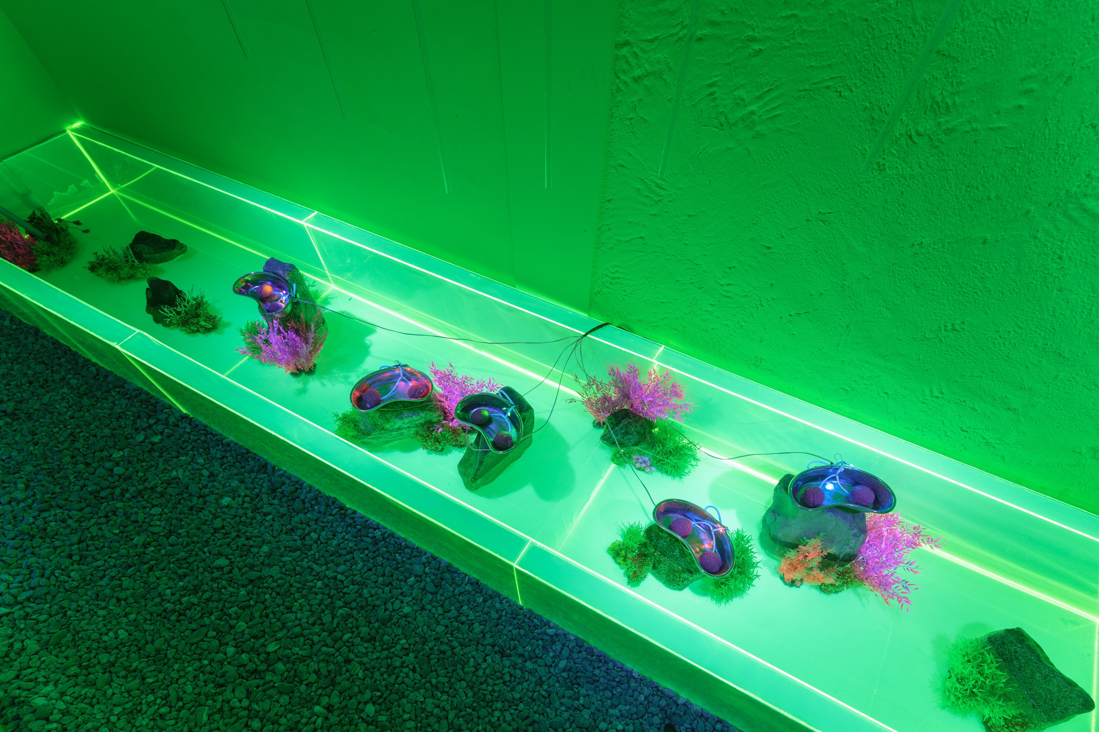 Anne Duk Hee Jordan | alexander levy